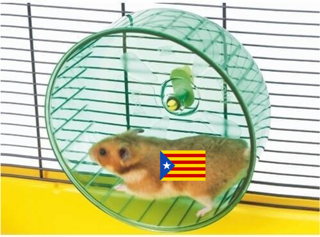 El hámster en su rueda – Dolça Catalunya